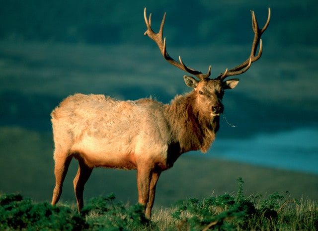 ReclaimRestorePointReyes - Inquiring Systems